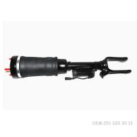 China Black Air Suspension Shock Absorber for W251 Air Suspension Strut 2513203013 2513203113 for sale