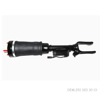 China Black Air Suspension Shock Absorber for W251 Air Suspension Strut 2513203013 2513203113 for sale