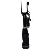 China Auto Car Air Suspension Shock Absorber 2513203013 Air Strut Front Shock Absorber For W251 2006-2010 for sale