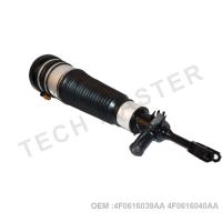 China Standard Size Audi Suspension Strut Assembly For Audi A6 C6 S6 / Auto Suspension Parts for sale