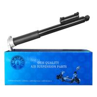 China Top Performance Air Suspension Shocks For Mercedes-Benz W213 W257 Rear Left And Right Shock With Ads 2/4matic 2133202200 2133200302 2133205500 for sale