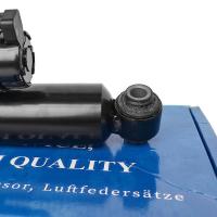 China OEM NO 2133202200 2133200302 2133205500 Air Suspension Shock For Mercedes-Benz W213 W257 Rear Left And Right Shock With Ads 2/4matic for sale