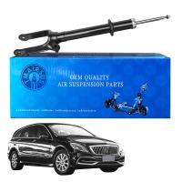 China 2513200730 2513203013 2513201931 2513202231 Mercedes-Benz W251 Front Shock Absorber with Place Of Original for sale