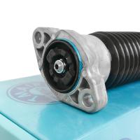 China Auto Car Parts Suspension System Rear Shock Absorber For W253 2533201330 2533204600 for sale