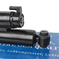 China Auto Car Parts Suspension System Rear Shock Absorber For W253 2533201330 2533204600 for sale