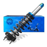 China 2010-2016 High quality Air Suspension Shock BL3Z-18124-H Front Left and Right for Ford F150 SVT Raptor STX XLT for sale
