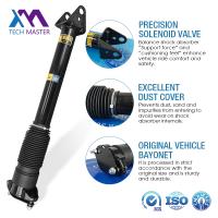 China Fast Delivery Rear Air Matic Shock Absorber for Mercedes-Benz W166 1663200030 1663202030 for sale