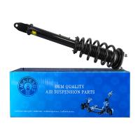 China Suspension Air Suspension Shock For Tesla Model 3 Front Left And Right Coil Spring Shock RWD 1044364-00-E 104436400E for sale