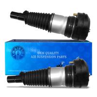 China Suspension Air Suspension Shock For Zeekr 001 2017-2023 Front Left And Right Air Suspension 6600138569 6600138562 for sale