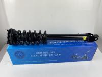 China 1015619 Tesla Model S Front Left And Right Coil Spring Shock RWD Shock Strut Assembly Coil Type 1015619-01-E for sale