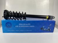 China 1015619 Tesla Model S Front Left And Right Coil Spring Shock RWD Shock Strut Assembly Coil Type 1015619-01-E for sale