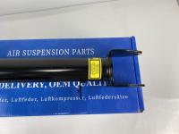 China 1015619 Tesla Model S Front Left And Right Coil Spring Shock RWD Shock Strut Assembly Coil Type 1015619-01-E for sale