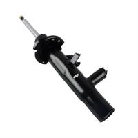 China X5 F25 BMW Air Suspension Parts / Air Suspension Shock Absorbers 31316796315 31316796316 2010-2017 for sale
