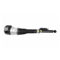 China Mercedcs W221 S - Class Airmatic Rear Left Air Suspension Shock Air Strut 2213205513 for sale