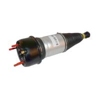 China C2C41341 C2C41343 Strut Air Suspension Shock For Jaguar XJR Rear 12 Months Warranty for sale