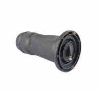China Discovery II Rear Left Right Suspension Air Spring RKB101200 Airmatic Air Bag For Land Rover for sale