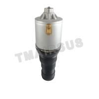 China Bentley VW Phaeton Front Air Suspension Springs OEM 3D0616039d 3D0616040d Suspension Balloons for sale