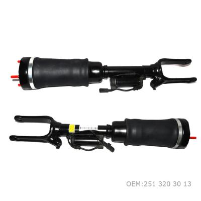 China Air Suspension Strut For MercedesBenz W251 , Front Air Shock Spring 2513203013 for sale