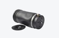 China 1643200225 Air Suspension Springs Bags And Bellows For Mercedes W164ML 2005-2011 Rear for sale