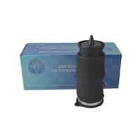 China A6393280101 6393280201 Rear Air Suspension Springs For Mercedes Benz W639 2003-2007 for sale