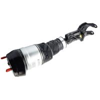 China 1663201313 1663206913 Front Air Suspension Strut For Mercedes W166 ML Class for sale