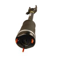China Mercedes W164 GL450 Air Suspension Spring And Shock Absorber Air Bellow 1643206113 for sale