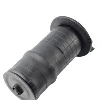 China Range Rover 1995-2002 P38 Rear Air Suspension Springs OEM RKB101460 RKB101460E for sale