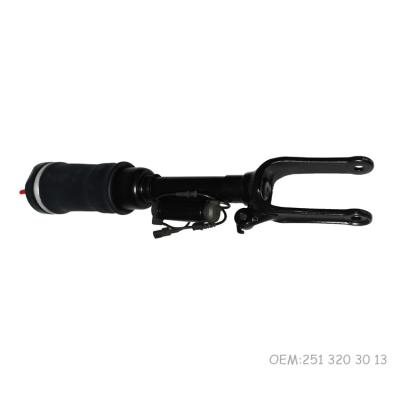 China ISO9001 Air Suspension Shock 2513203013 For Mercedes - Benz W251 R - Class 2006 - 2010 for sale