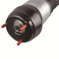 China Mercedes Shock Absorber For W166 M Class GLE Class Air Suspension Absorber Front Left And Right 1663201313 1663201413 for sale