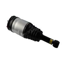 China RTD501090 LR016418 Rear Shock Absorber Assy For Discovery 3 Discovery 4 LR3 LR4 L320 for sale