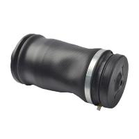 China OEM 1643201025 Rear Air Suspension Strut For Mercedes W164 Air Shock Spring for sale