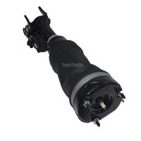 China Air Suspension System Air Shock Absorber For Mercedes Benz W251 R300 Front Air Strut OEM 2513203013 for sale