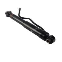 China Air Ride Suspension 48530-0C130 48530-0C131 For Toyota Sequoia Rear Air Suspension Shock Absorber for sale