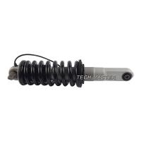 China 213396 235232 174722 Ferrari F430 F360 Front Air Suspension Shock With ADS Air Strut Assembly for sale