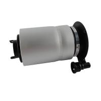 China Ford Expedition Lincoln Navigator Air Suspension Shock 7L1Z5A891B 8L1Z5A891B Shock Kits for sale