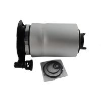 China Ford Expedition Lincoln Navigator Air Suspension Shock 7L1Z5A891B 8L1Z5A891B Shock Kits for sale