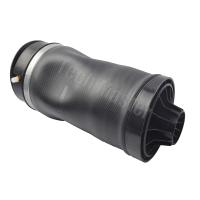 China 2513200425 Mercedes Ben W251/ R350 R500 Rear W251 Air Suspension Springs 2006-2010 for sale