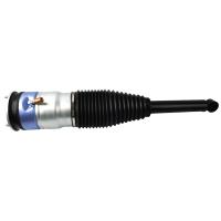 China Model S Rear Left  Air Suspension Shock  OEM 6006352-07-A for sale