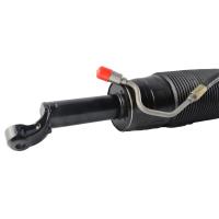 China 2223205913 2223206013 Front Abc Shock Strut Hydraulic Mercedes-Benz W222 W217 for sale