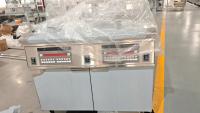 China OFG-H226 Two Pot Two Big Basket Auto Lift Big Capacity Digital Computer Panel Gas Chips Open Fryer for sale