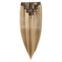 China Effortless Style 100% Human Hair Seamless Clip In Extensions 0.2kg for B2B for sale