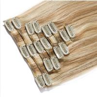 China Effortless Style 100% Human Hair Seamless Clip In Extensions 0.2kg for B2B for sale
