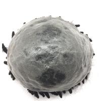 China Upgrade Your Appearance with Our 100% Human Hair Men's Short Hair Toupee Lace PU Base for sale