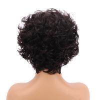 China 250% Density Pixie Cut Curly Human Hair Wig with Swiss Lace Base Material for sale