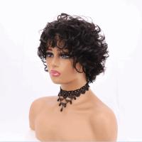 China 250% Density Pixie Cut Curly Human Hair Wig with Swiss Lace Base Material for sale