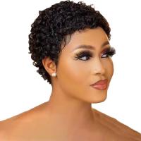China 250% Density Pixie Cut Curly Human Hair Wig with Swiss Lace Base Material for sale