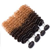 China 100% Natural Deep Wave Double Weft Brazilian Remy Hair Bundles Vendor with Ombre Color for sale