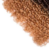 China 100% Natural Deep Wave Double Weft Brazilian Remy Hair Bundles Vendor with Ombre Color for sale