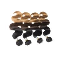China 100% Natural Deep Wave Double Weft Brazilian Remy Hair Bundles Vendor with Ombre Color for sale