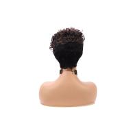 China Remy Hair Lace Front Technique Pixie Cut Wig Human Hair Wigs Short Brazilian Grade for sale